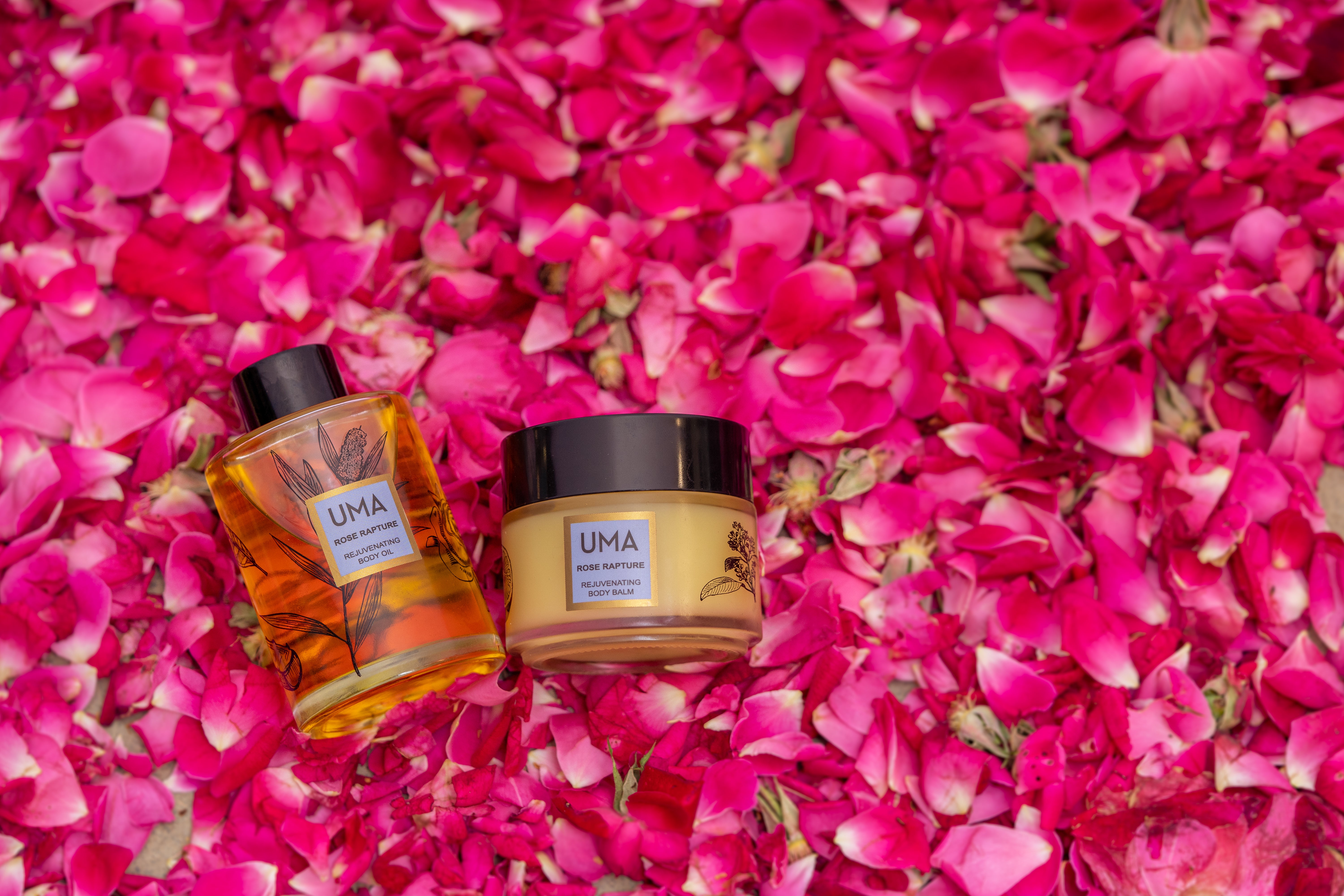 Rose Rapture Collection